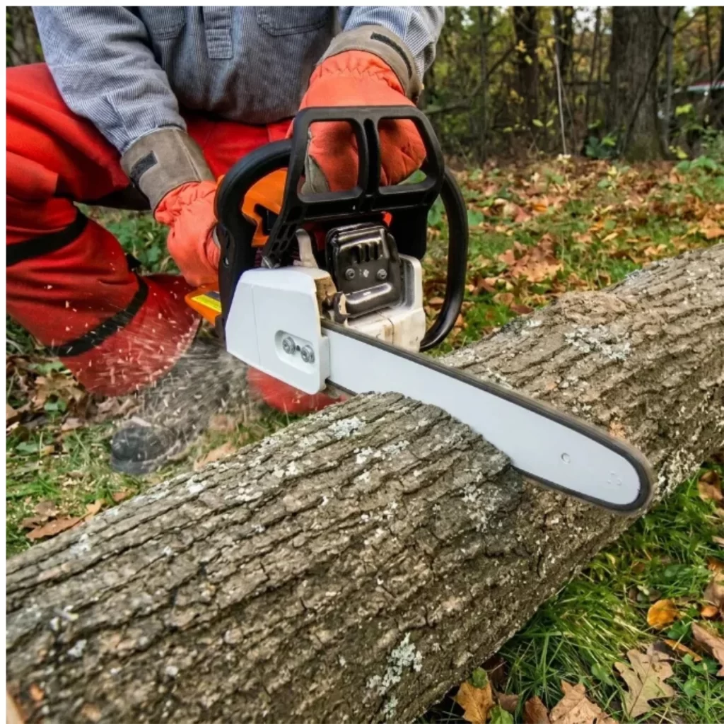 How to Use a Chainsaw: Complete Step-by-Step Guide for Beginners - Aosom